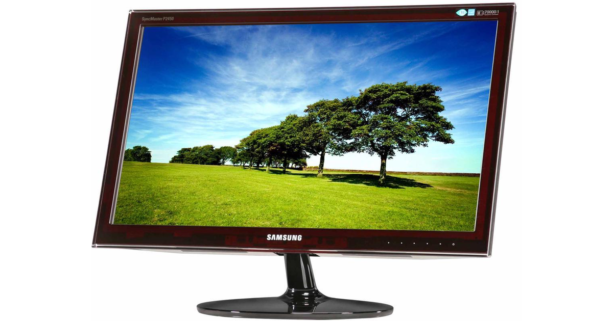 Samsung P2450H | SoloTodo.cl
