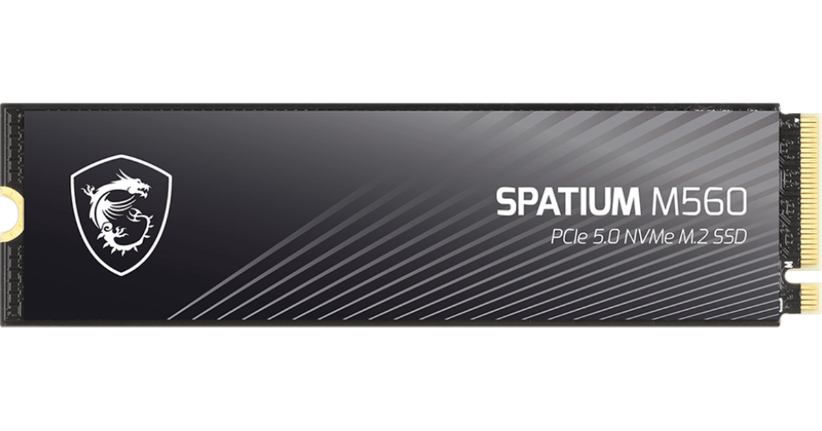 MSI Spatium M560 1 TB (SPATIUM M560) | SoloTodo.cl