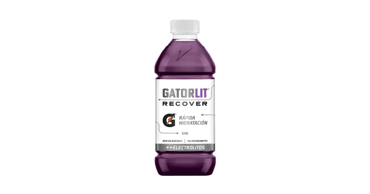 Gatorlit Bebida isotónica uva (591 mL.) | SoloTodo.cl