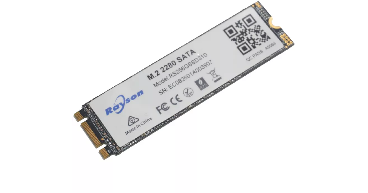 Rayson 256 GB (RS256GSSD310) | SoloTodo.cl