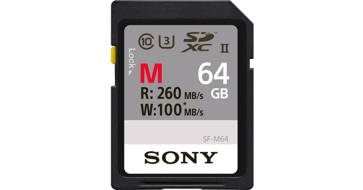 Sony SDHC / SDXC 64 GB Class 10 / UHS Class 3 (U3) / Video Class 30 ...